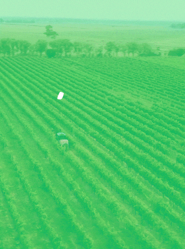 Brand | Create | Digital | Making brands better | The Refinery